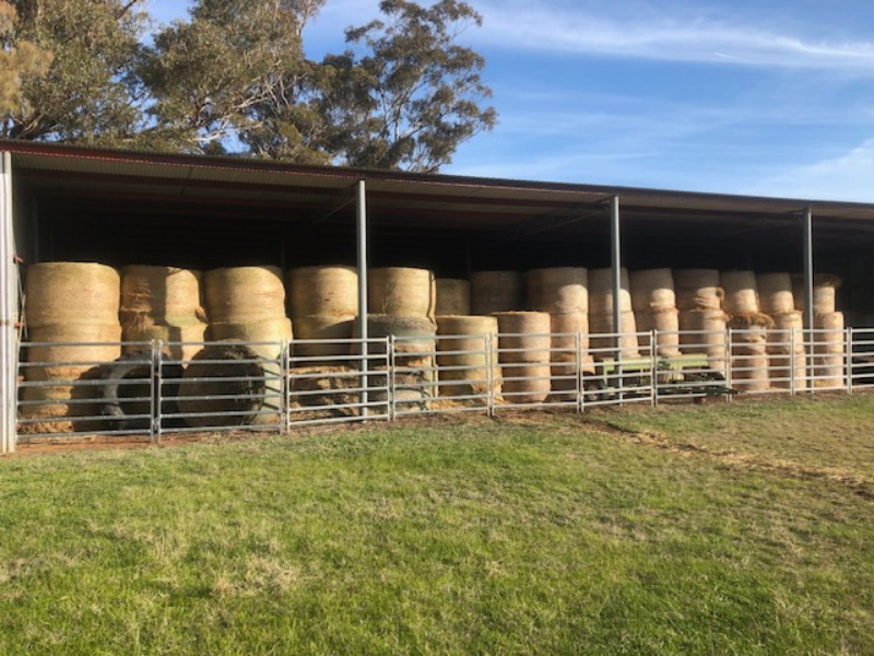 Lot 10 - 10 round bales wheaten hay | AuctionsPlus