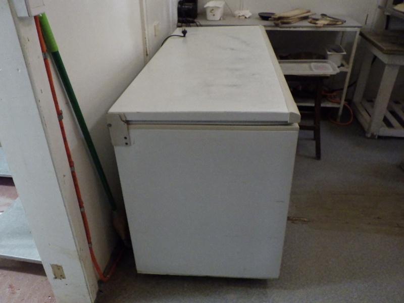 Lot 11 - LARGE CHEST FREEZER - WORKING ORDER | AuctionsPlus
