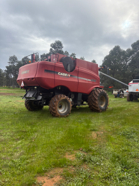 Lot 14 - CASE 8010 HEADER | AuctionsPlus
