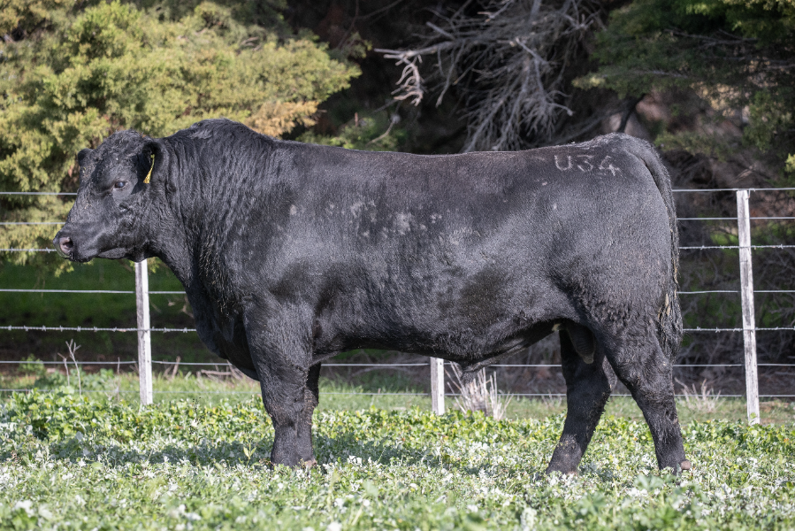 Lot 10 - MURDEDUKE LARRIKEN U034 | AuctionsPlus