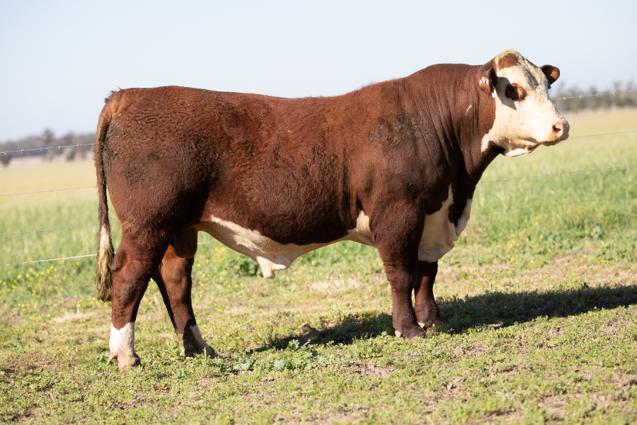 Lot 804 - BINARA UNO U070 (PP) | AuctionsPlus