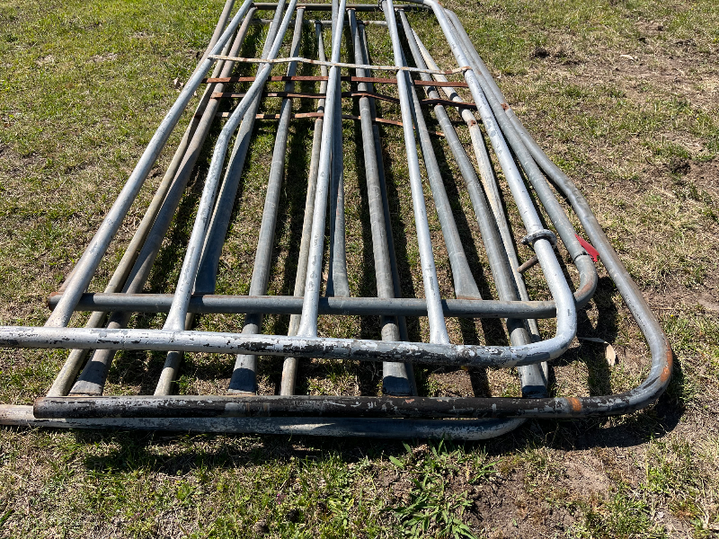 Lot 113 - 4 X FARM GATES | AuctionsPlus