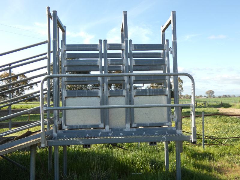 Lot 365 - CATTLE LOADING RAMP EXTENSION | AuctionsPlus