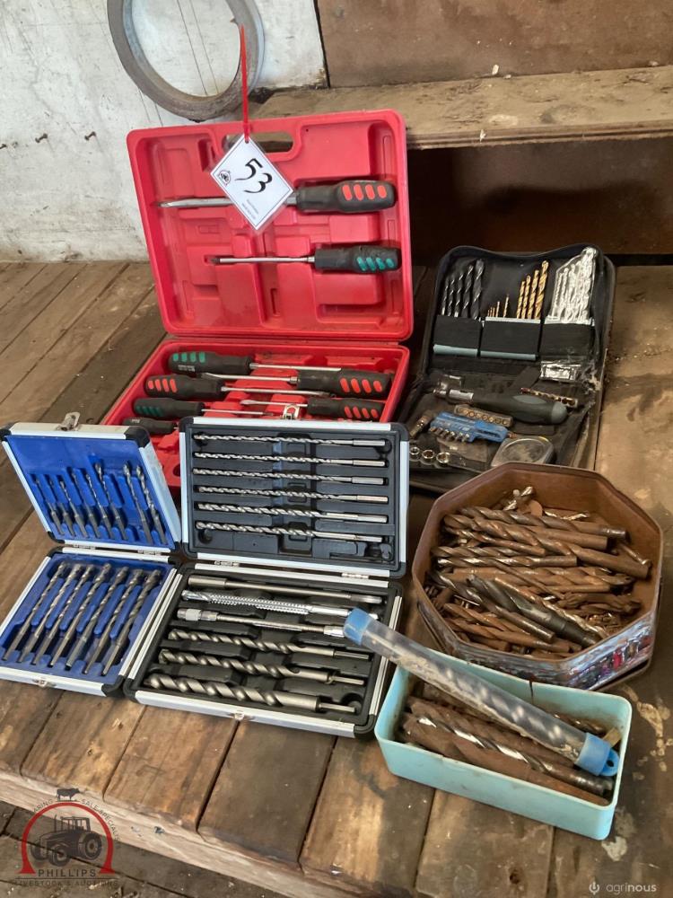 Lot 53 - Assorted Drill Bits, Screw Drivers, Etc | AuctionsPlus