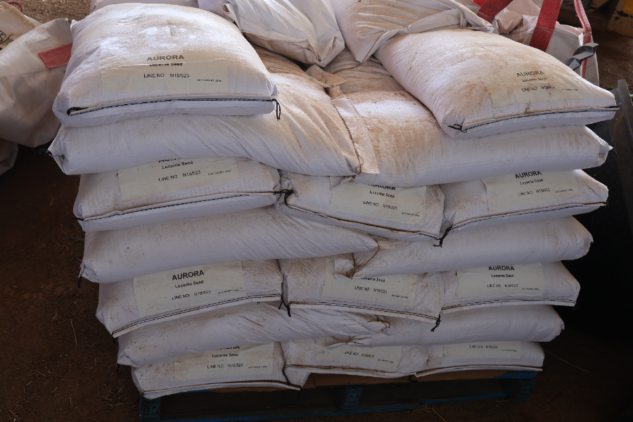 Lot 102 - 'Aurora' Lucerne Seed 100kg (25kg Bags) | AuctionsPlus