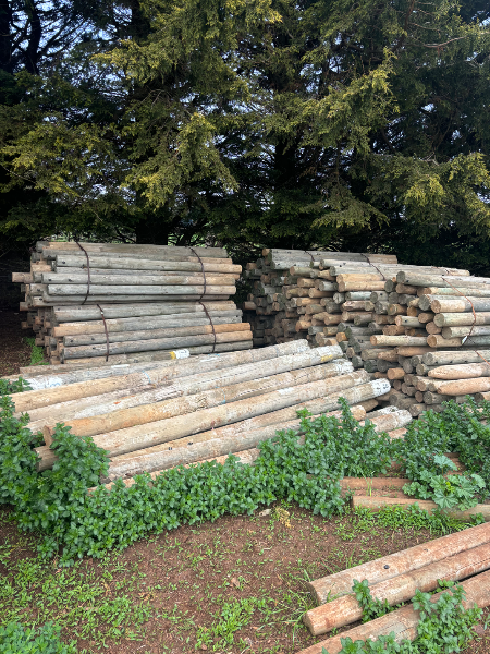 Lot 49 - Fence Posts | AuctionsPlus