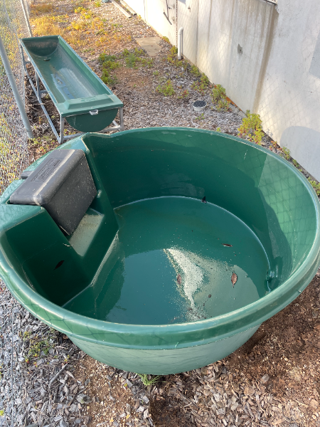 Lot 120 - Rapidplas 600lT round water trough with float | AuctionsPlus