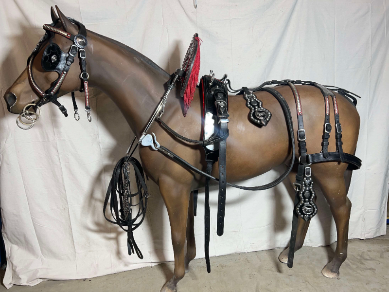 Lot 303 - Heavy Delivery Harness | AuctionsPlus