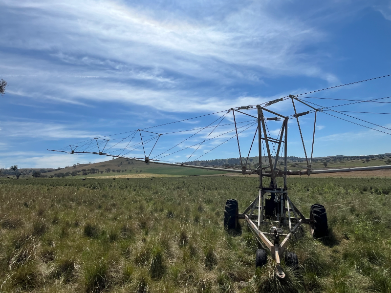 Lot 91 - BRIGGS ROTO RAINER ROTATING IRRIGATOR-LARGE | AuctionsPlus