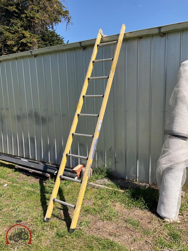 Lot 50 - Aluminium Ladder 3 mtr | AuctionsPlus