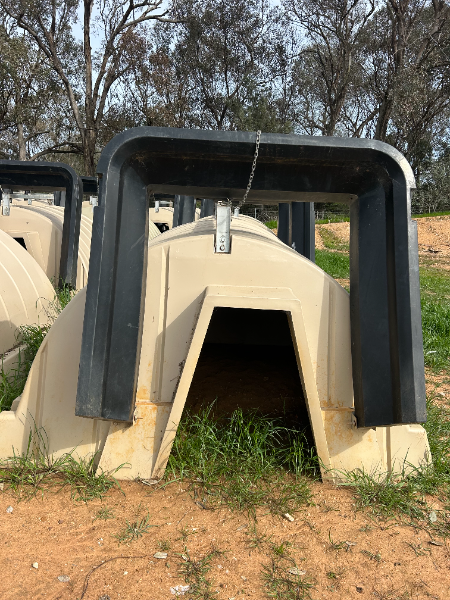 Lot 443 - Pig Hut | AuctionsPlus