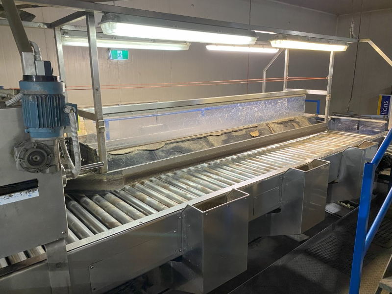 Wash main grading table platform and exit conveyors | AuctionsPlus