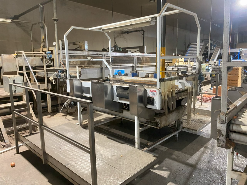 Rolling Grading table with platform and multiple grade out belt ...