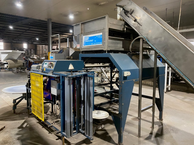 Packing systems bag filler 5 - 10kg bag on roll | AuctionsPlus