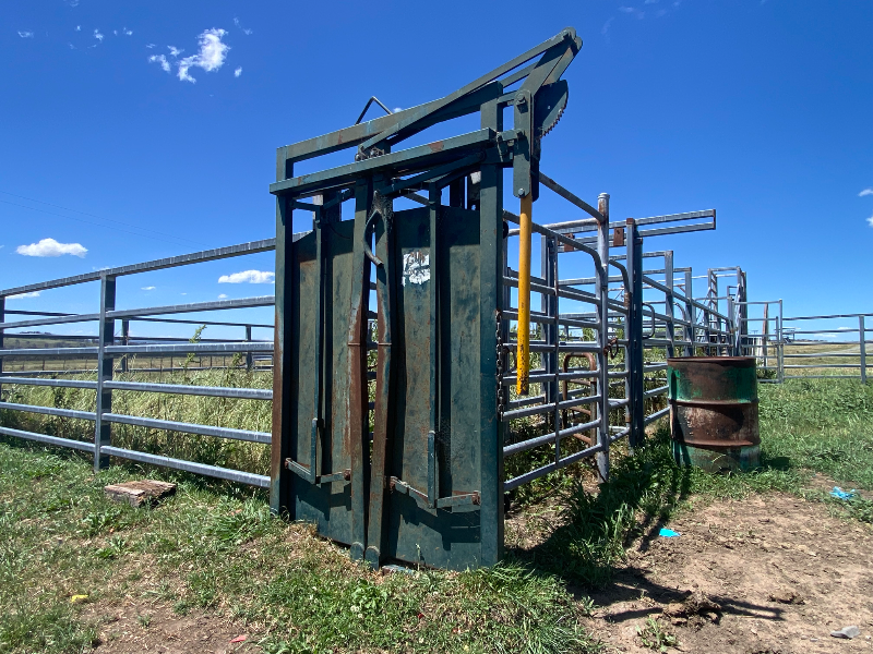 Lot 38 - Cattle Head Bale | AuctionsPlus