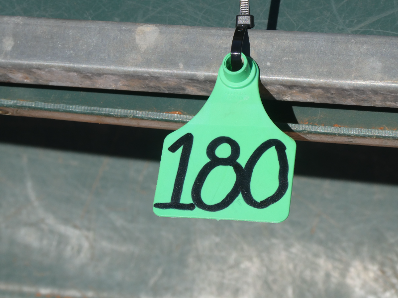 Lot 180 - 2 X RAPIDPLAS POLY TROUGHS | AuctionsPlus