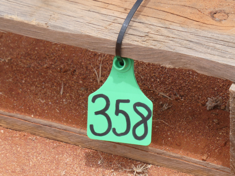 PALLET OF CURVED CORRUGATED IRON | AuctionsPlus