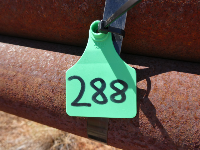 5 X DRILL STEM | AuctionsPlus