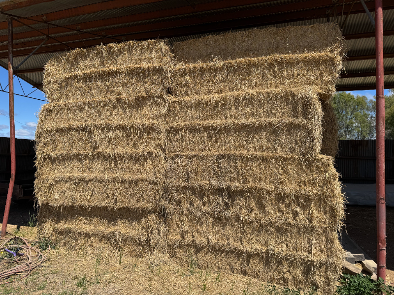 Lot 47 - 50 large square bales of hay. Approx 400kg | AuctionsPlus