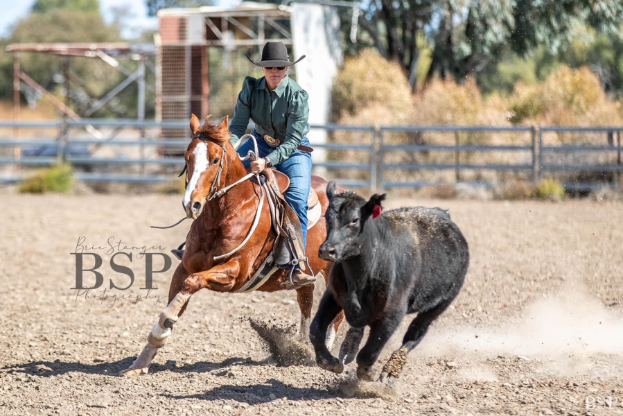 SMITH FAMILY GYPSY CAT | AuctionsPlus