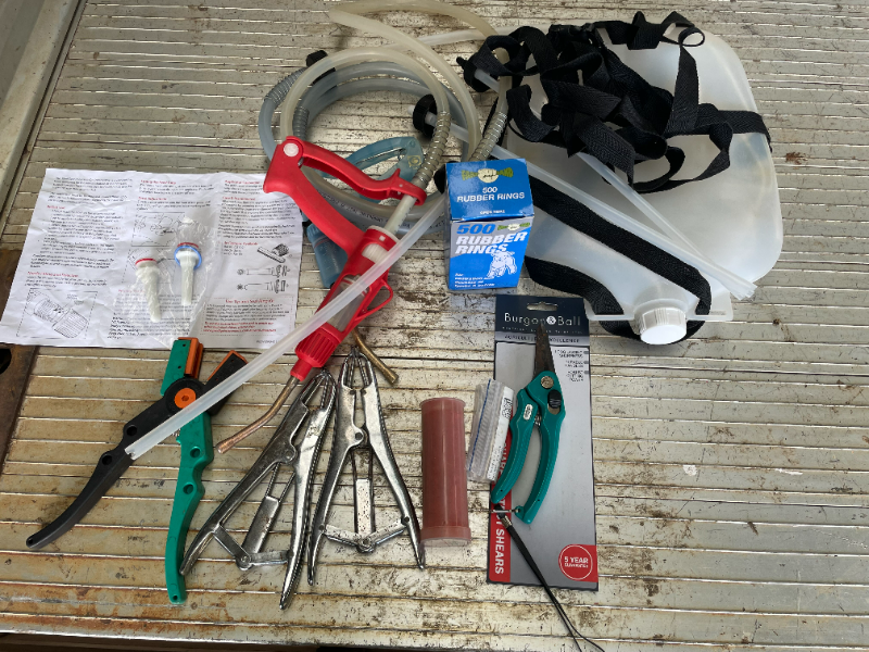 Lot 239 - Assorted Animal Health Sundry tools | AuctionsPlus