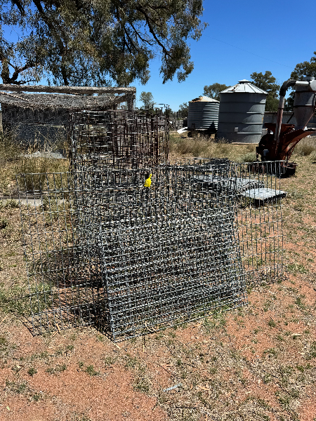Lot 16 - MESH | AuctionsPlus