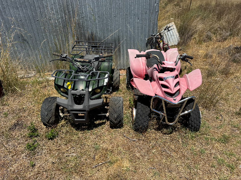 2 QUAD BIKES | AuctionsPlus