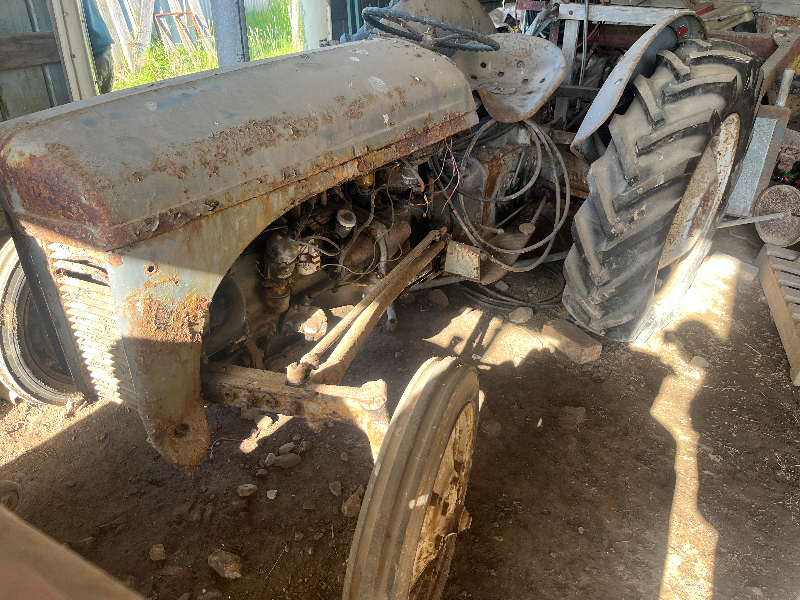 Grey Fergie | AuctionsPlus