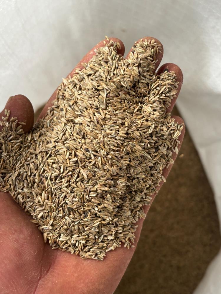 Lot 155 - Grass Seed Seconds incl. Fescue/Cocksfoot/Phalaris/White ...