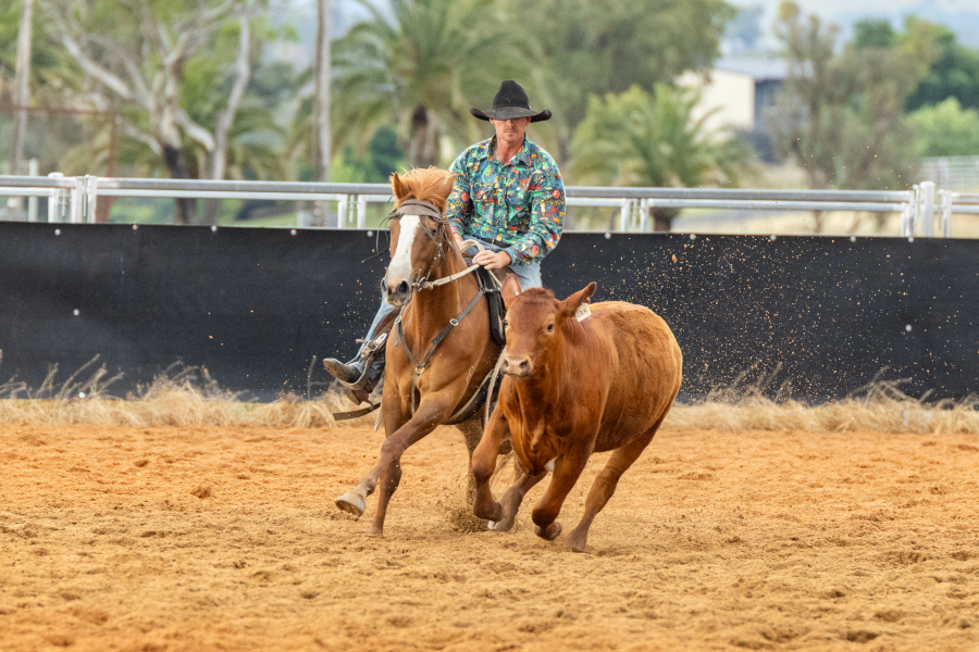 Lot 334 - EZZYS REBA - HSH | AuctionsPlus