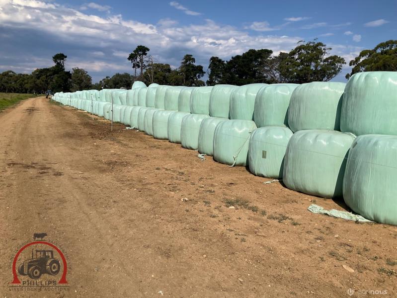 Lot 92 - Silage, Rye Grass Pasture Silage | AuctionsPlus