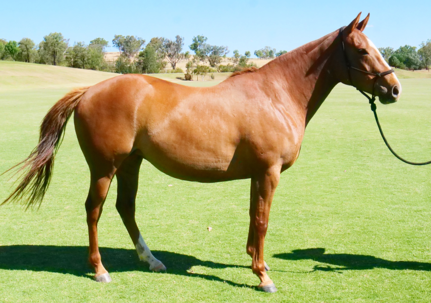 Lot 35 - KATA | AuctionsPlus