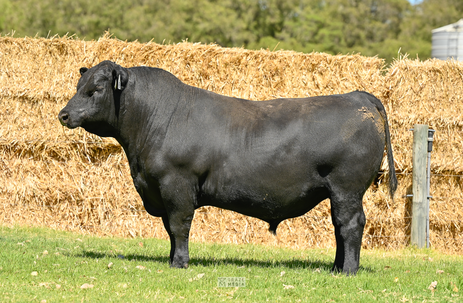 LITTLE MEADOWS VANTAGE POINT V102 | AuctionsPlus