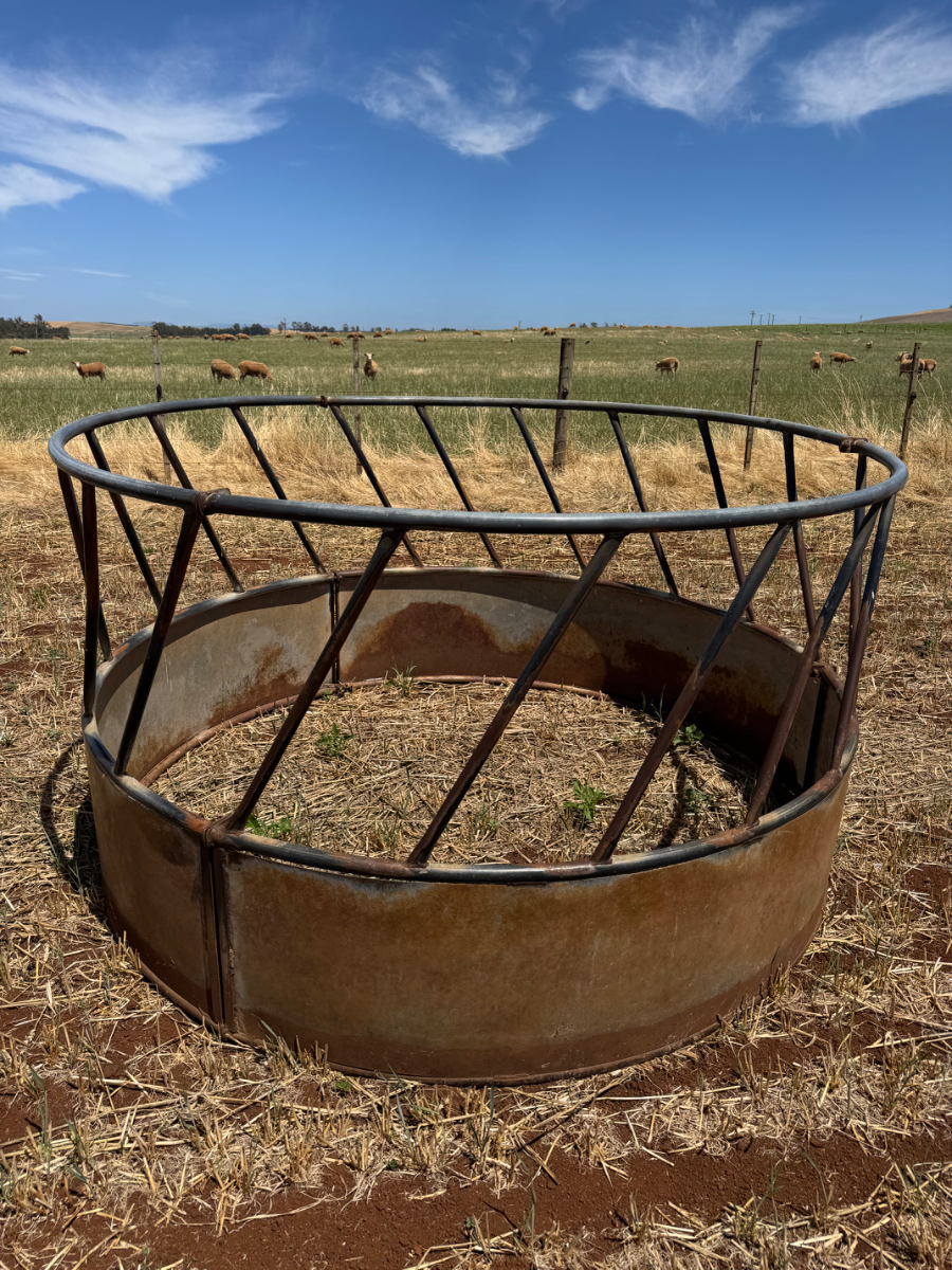 Lot 84 - Round Bale Ring Feeder | AuctionsPlus