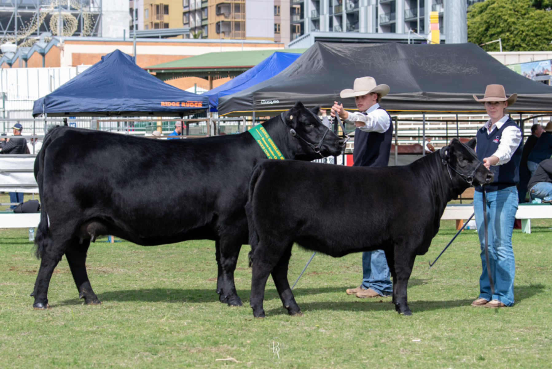 RECIPIENT: S A V Courage 3003 x Killain Emblynette 68 T50 | AuctionsPlus