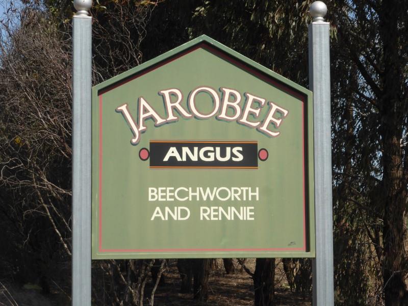 Lot 937 - 42 NSM Future Breeders | AuctionsPlus