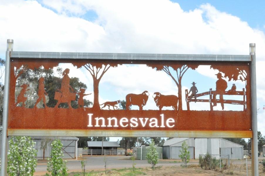 Pen 18 - 195 NSM Ewes | AuctionsPlus