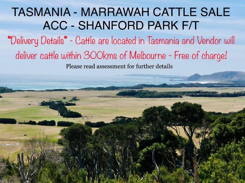 EASTERN STATES CATTLE SALE - Auction 828 | AuctionsPlus